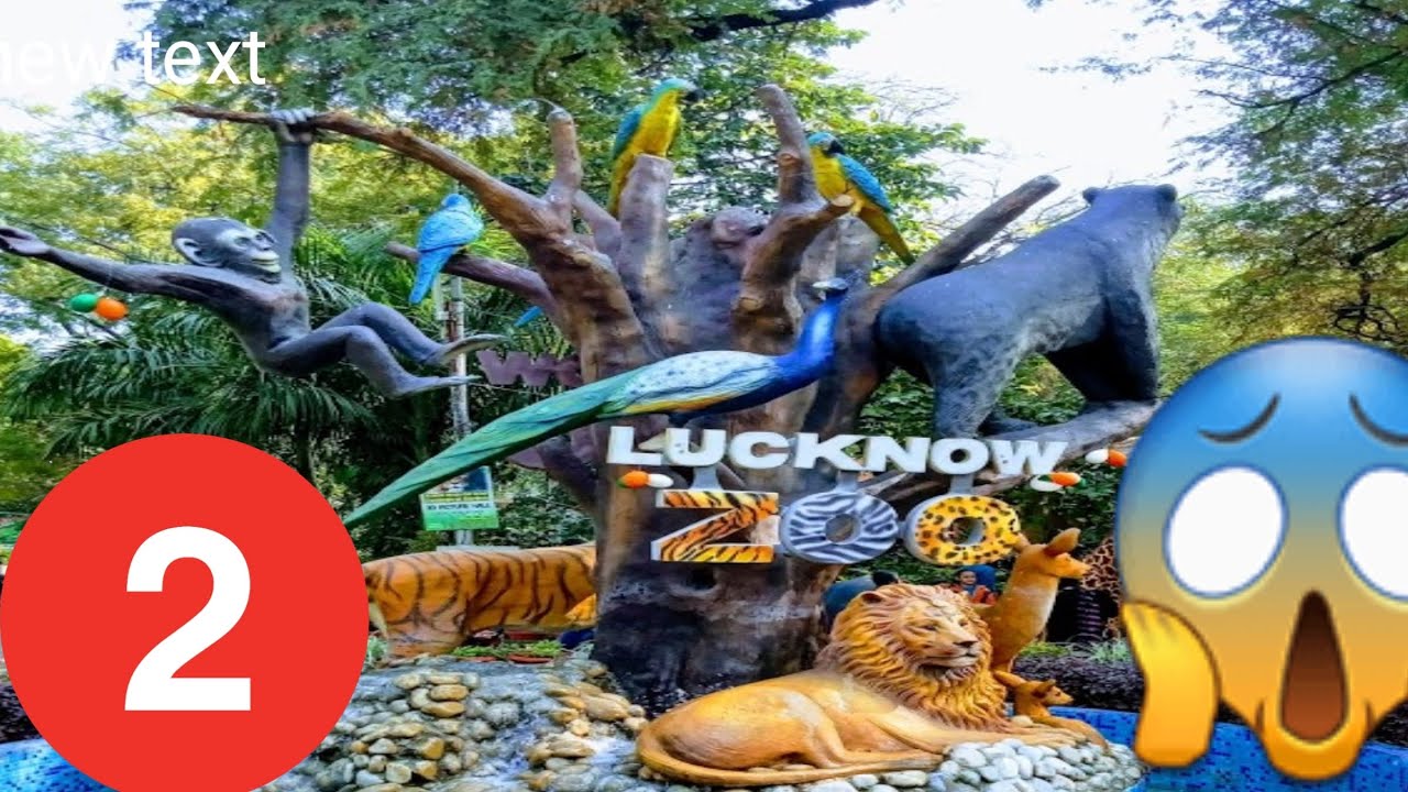 Lucknow zoo😱😱//zoo part 2/lucknow zoo museum/चिड़ियाघर लखनऊ/Famous zoo ...