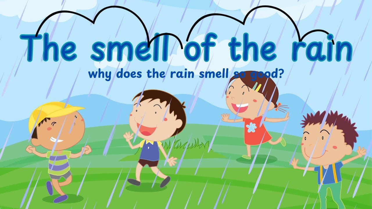 Why does the rain smell so good?|how the rain gets it’s smell| science ...