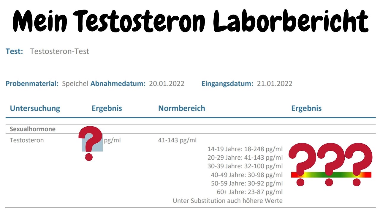 Ich habe mein (freies) TESTOSTERON im Labor testen lassen ... - YouTube