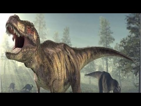 Did T-Rex Shake The Ground? - YouTube