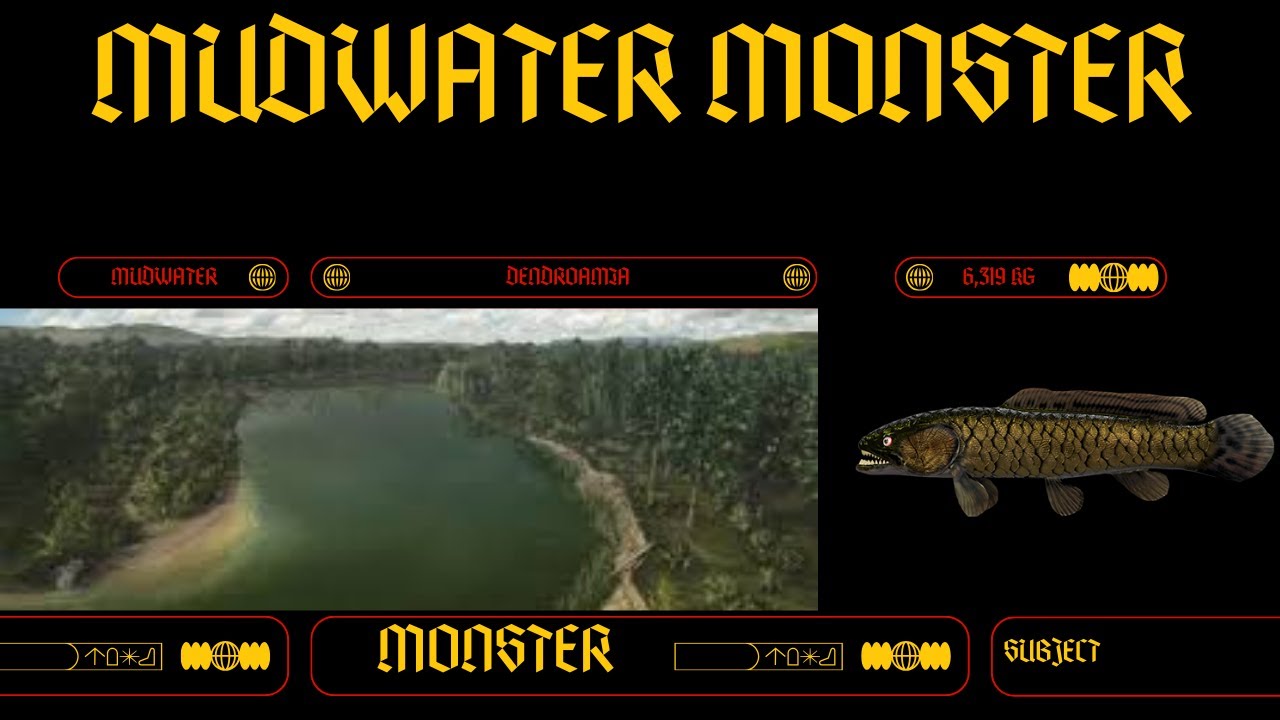 MONSTERS CATCH SERIES - DENDROAMIA - YouTube