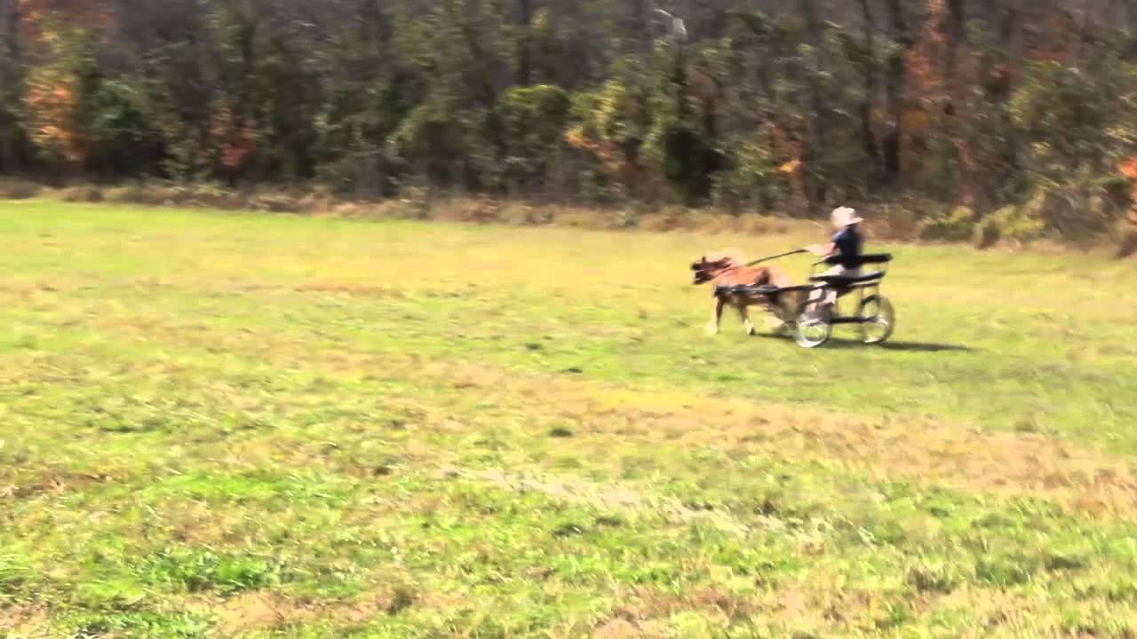 Modern Chariot - YouTube