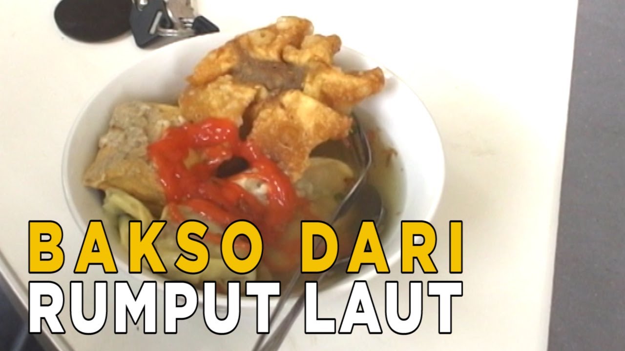 Mencoba bakso dari rumput laut yang kaya manfaat | JELANG SIANG - YouTube