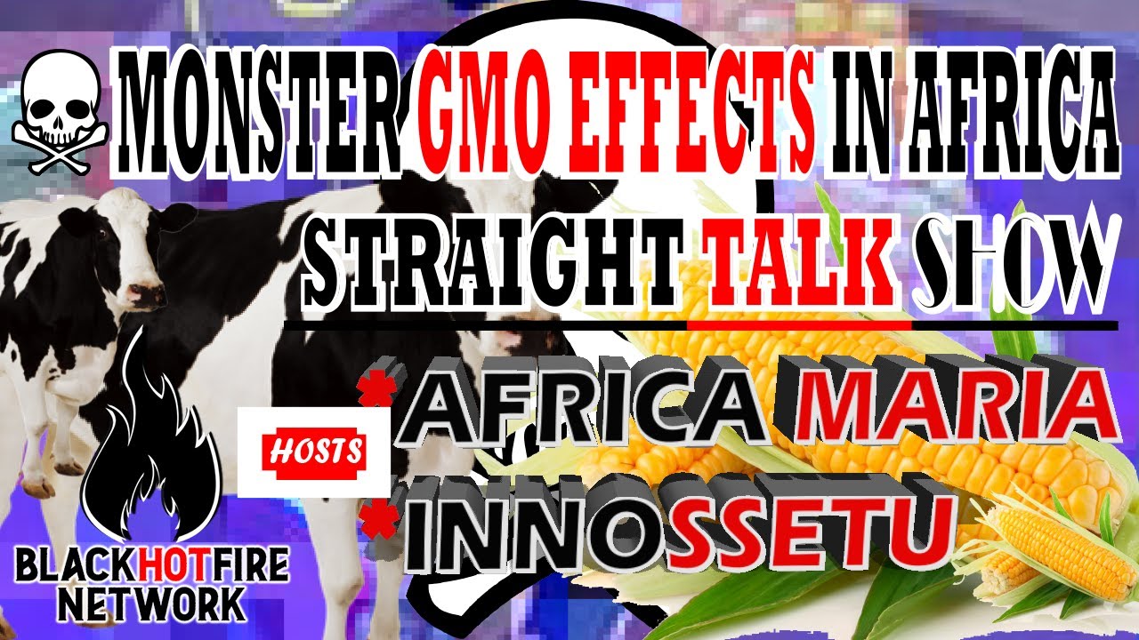 MONSTER GMO EFFECTS IN AFRICA - YouTube