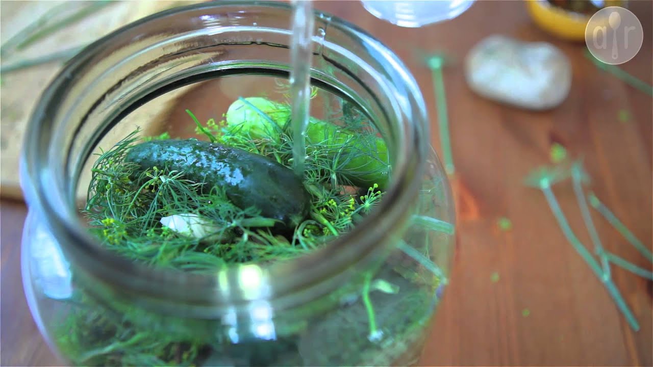 Cornichons marinés à l'aneth (ogórki) - YouTube