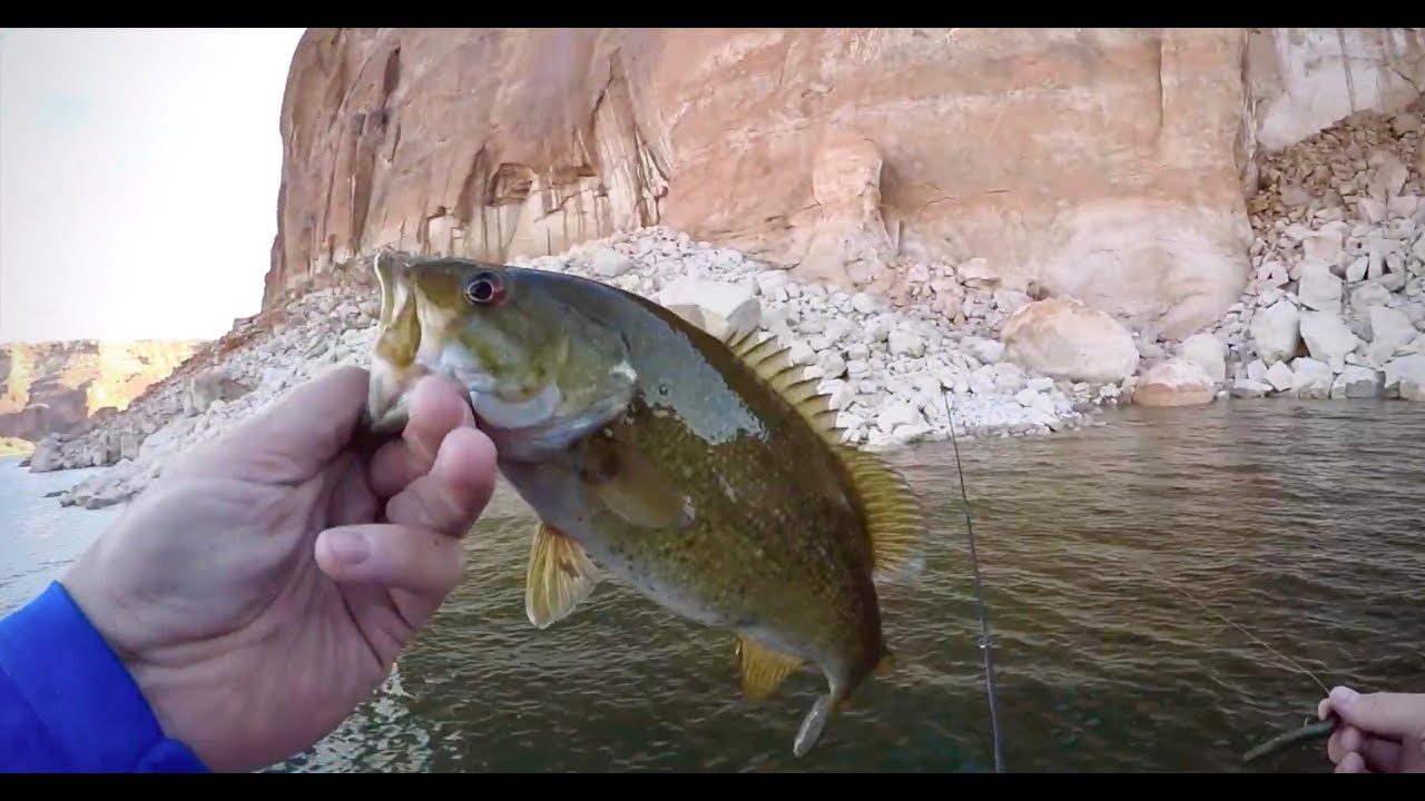 Finally Back on the South End of Lake Powell, Day 1 - YouTube