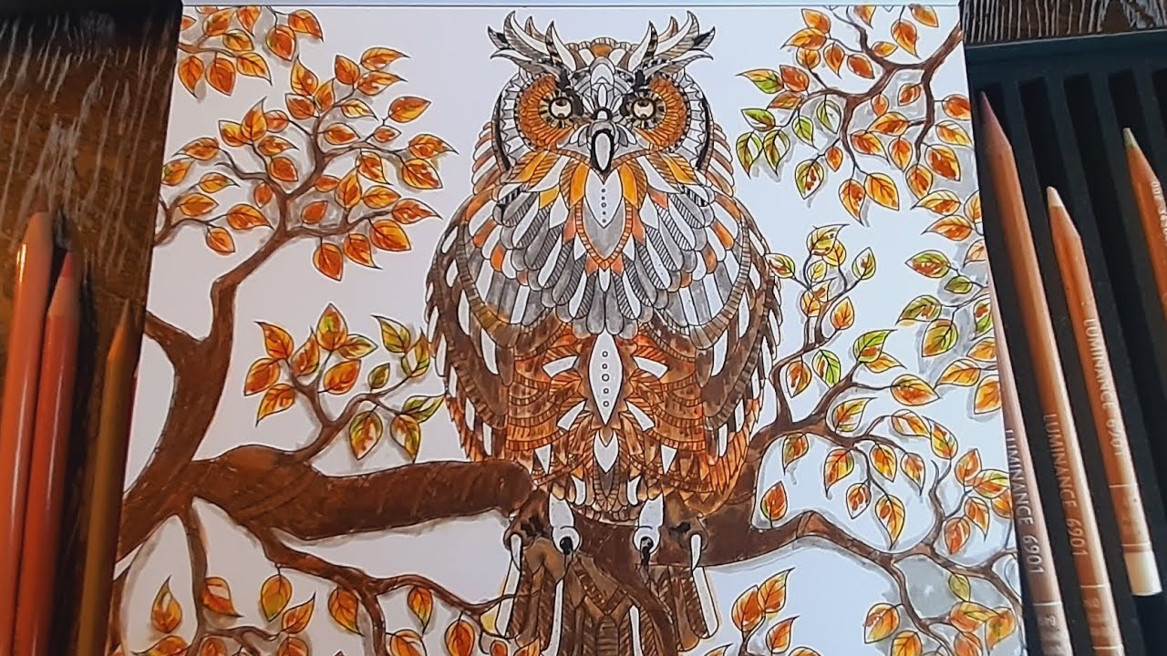 Coloring Owl with pen by adni #coloringbook #owl - YouTube