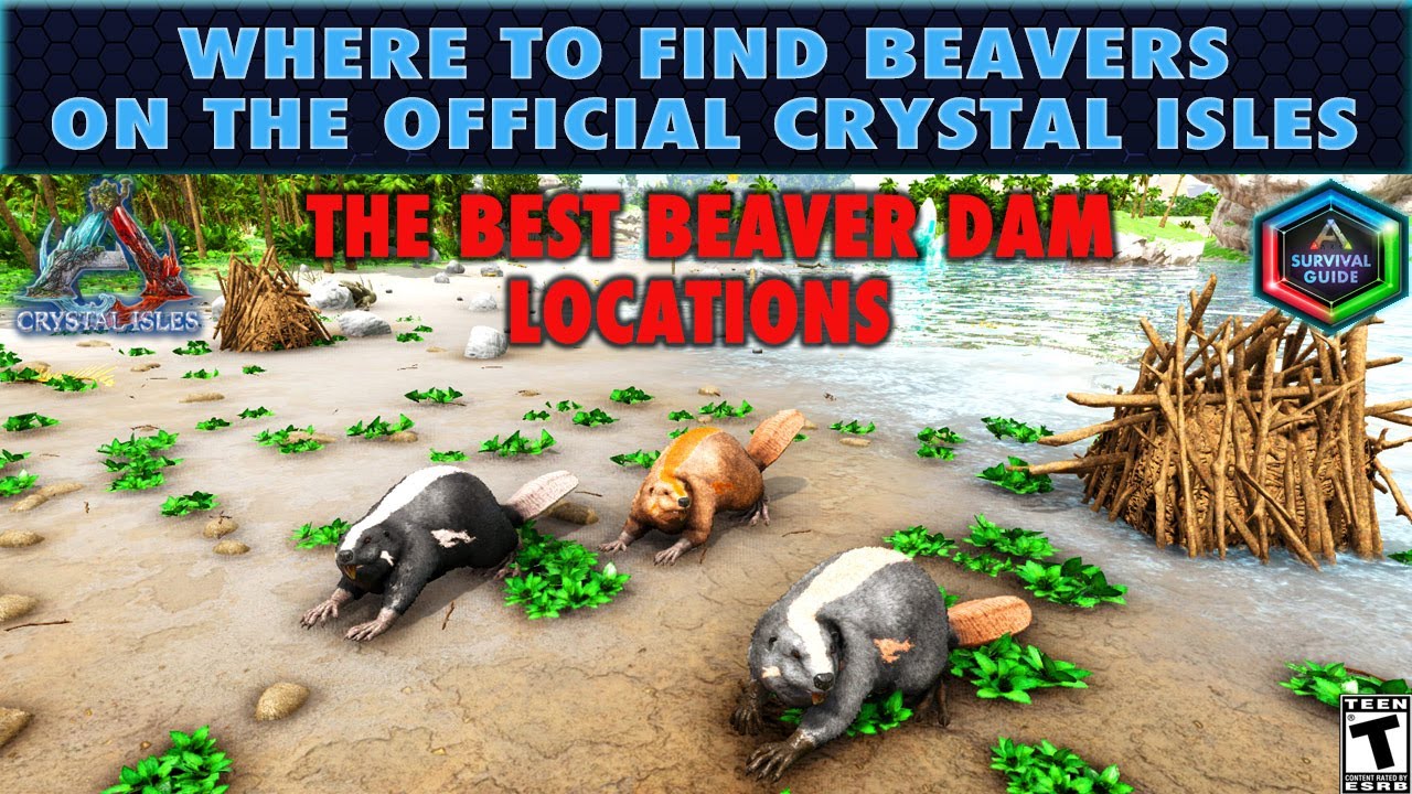 Where to Find Beavers in the Crystal Isles Map - YouTube