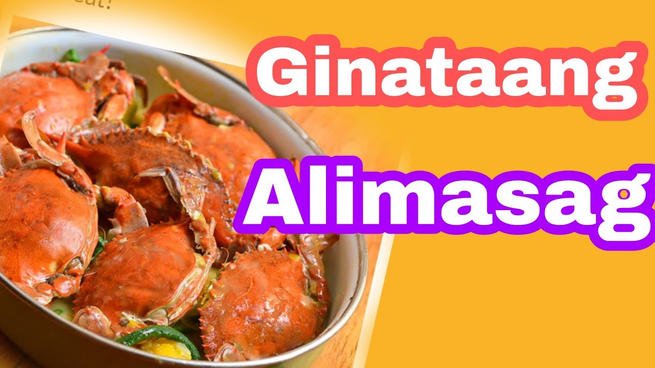 HOW TO COOK GINATAANG ALIMASAG RECIPE #andeng channel # - YouTube