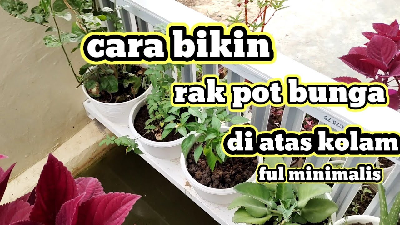 rak pot bunga di atas kolam - YouTube