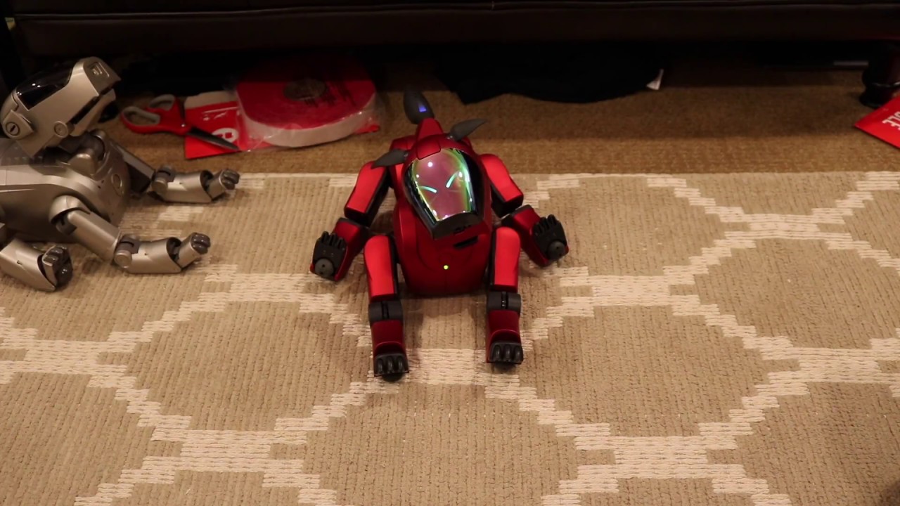 Fun With AIBO Custom Boot Tunes - YouTube
