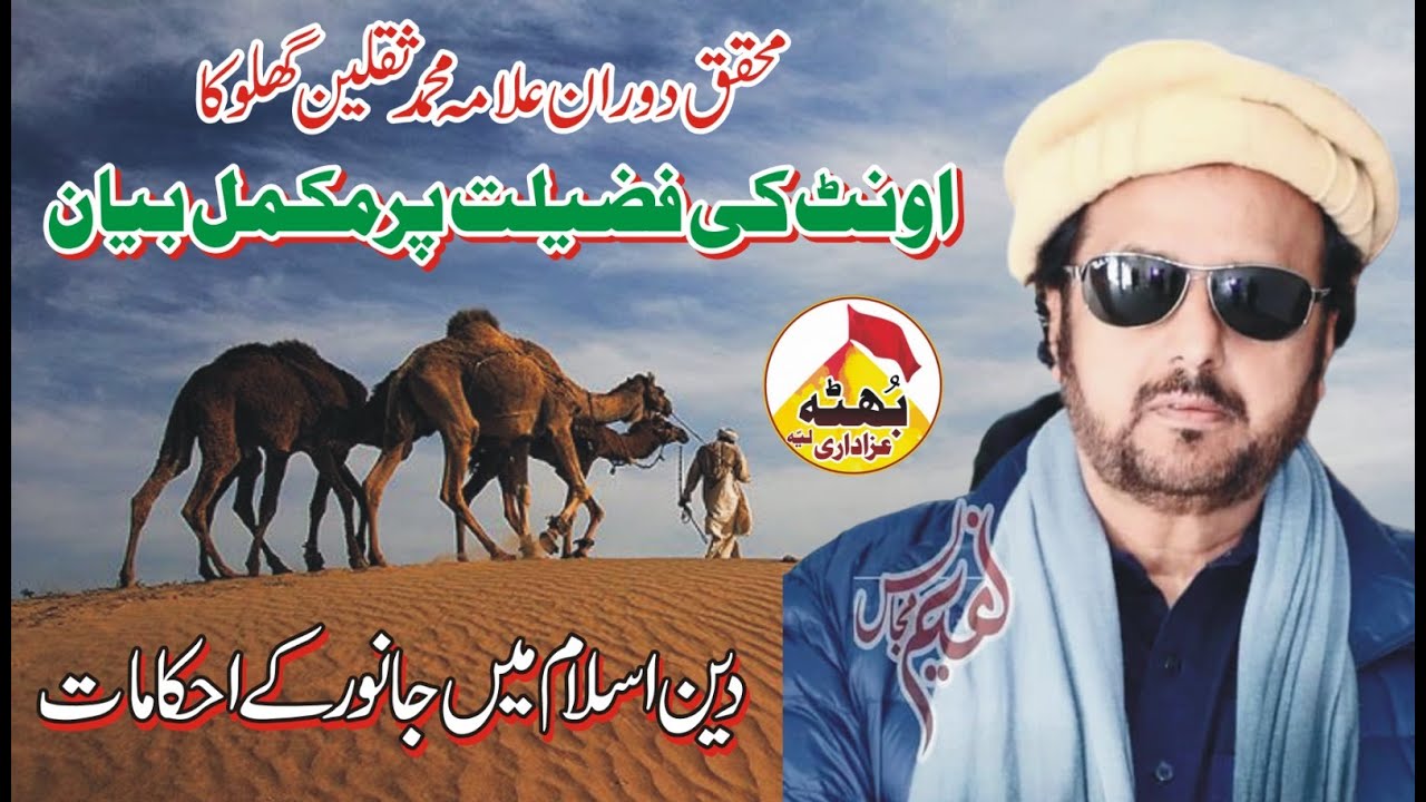 Majlis Azza Salana 15 ZIL Haj || Allama M. SAQLAIN GHALLU Sb || Daira ...