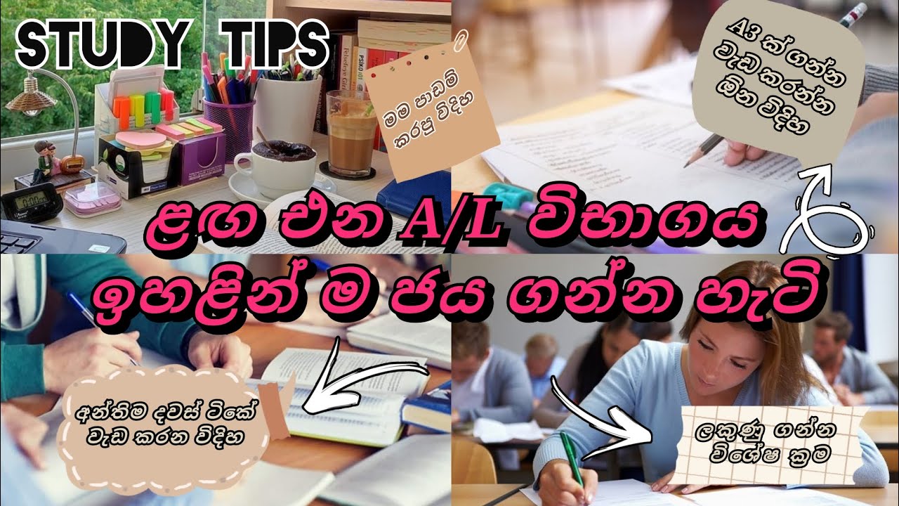 මේ එන A/L විභාගයට හරියට ම වැඩ කරන්න ඕන විදිහ|Sinhala study tips #exam # ...