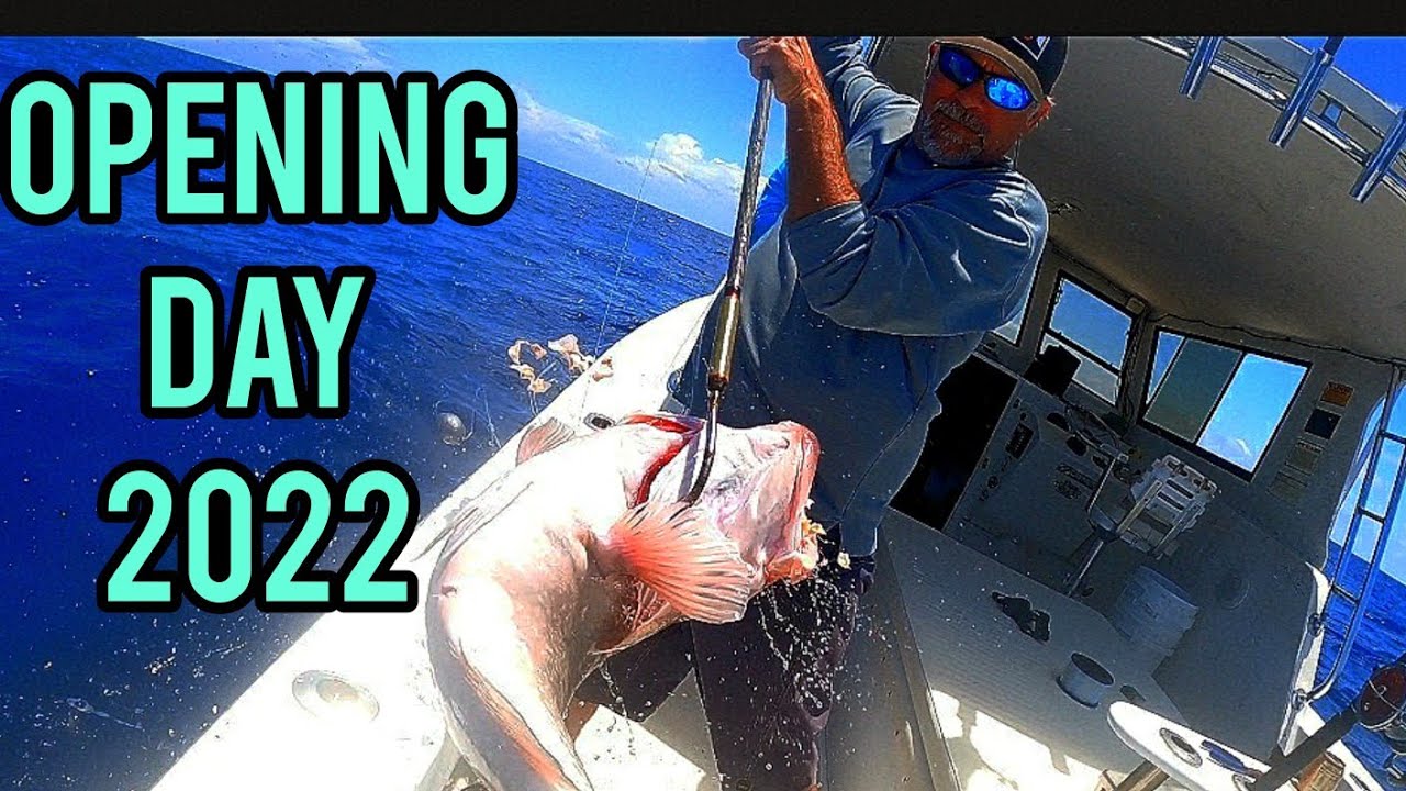 Red Snapper and Grouper Opening Day 2022: (+Mantis shrimp - YouTube
