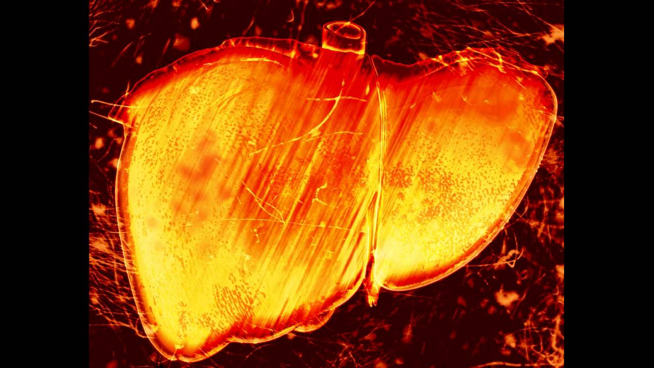 The Golden Gods - Liver's On Fire - YouTube