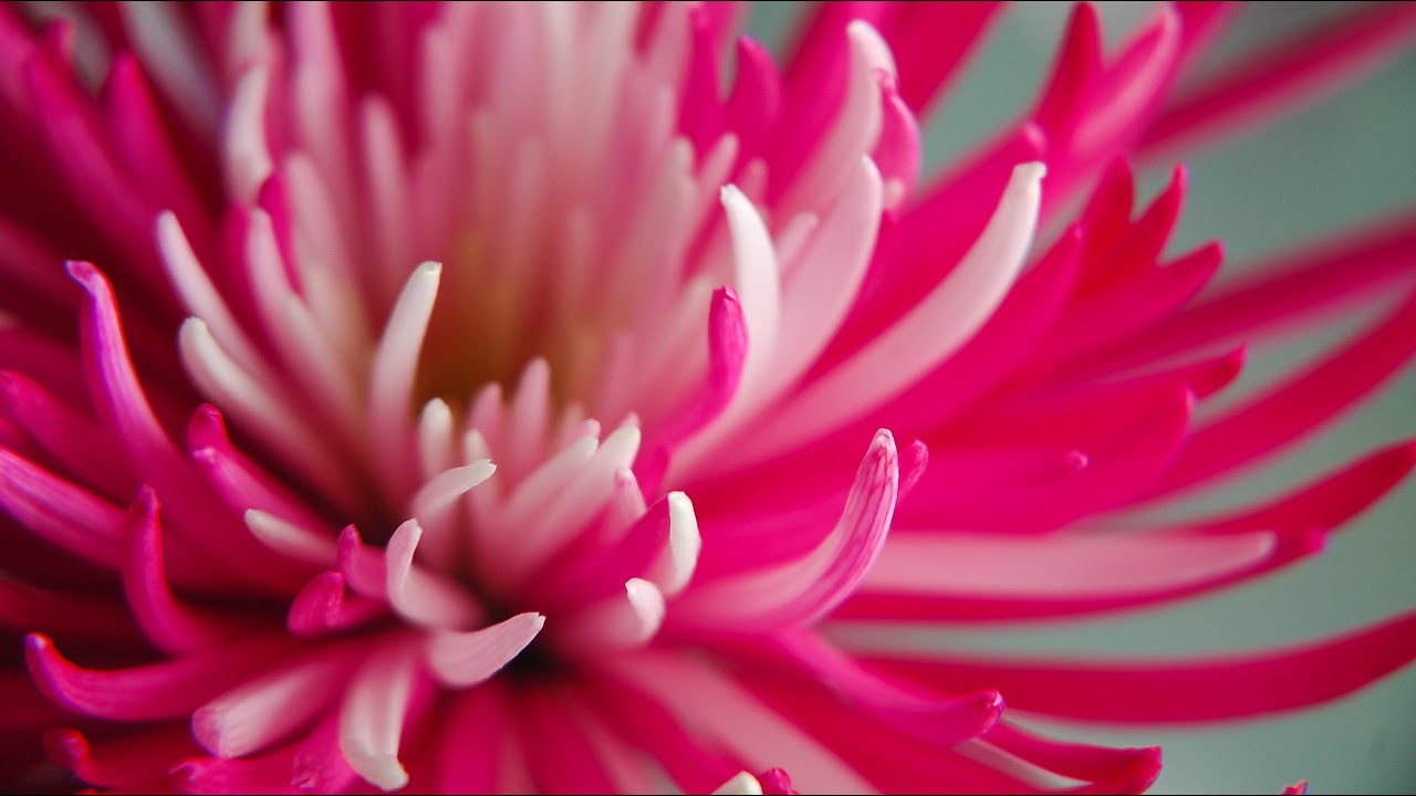 Hello Kai | FIreside Talks - YouTube