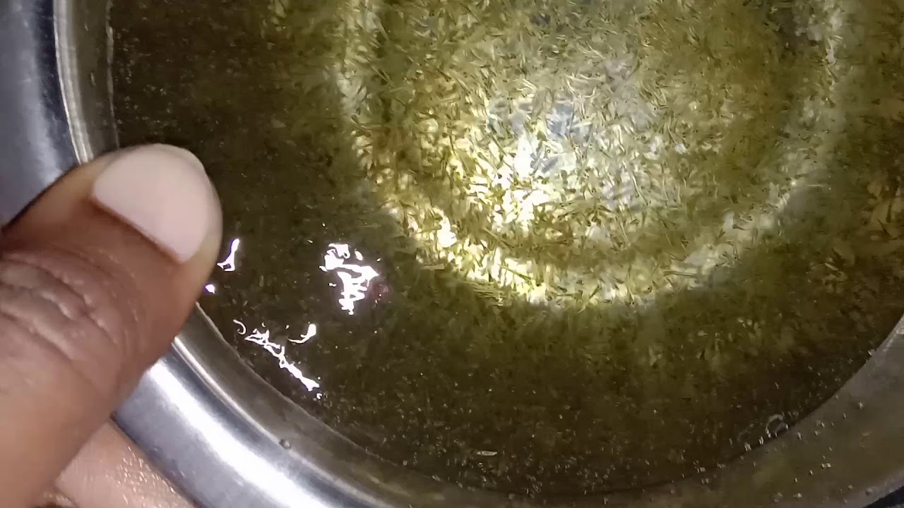 Best Quality Common Carp Spawn/breeding system/breeding techniques ...