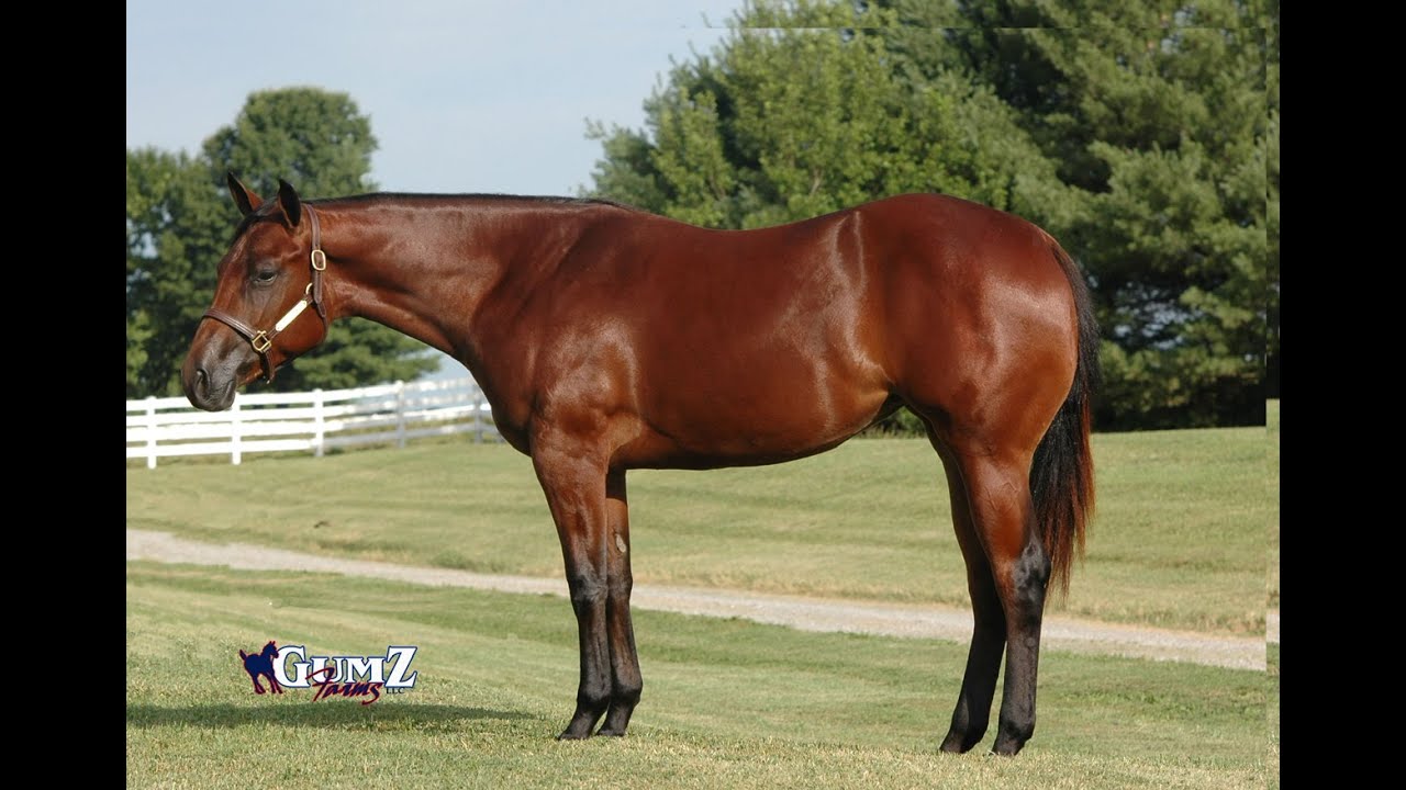 HIP 60 - LOPIN SO SOUTHERN (ITS A SOUTHERN THING X LOPIN SO PINE) - YouTube