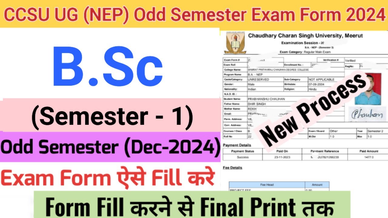 How to Fill CCSU Odd Semester Exam Form 2024 | CCSU B.Sc (NEP) Exam ...