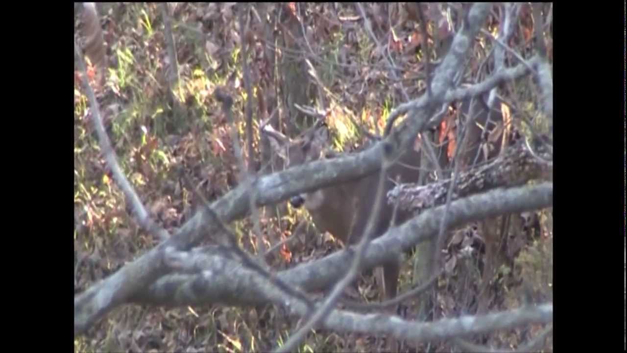 Skip Sligh's 2013 Season, no music, HD - YouTube