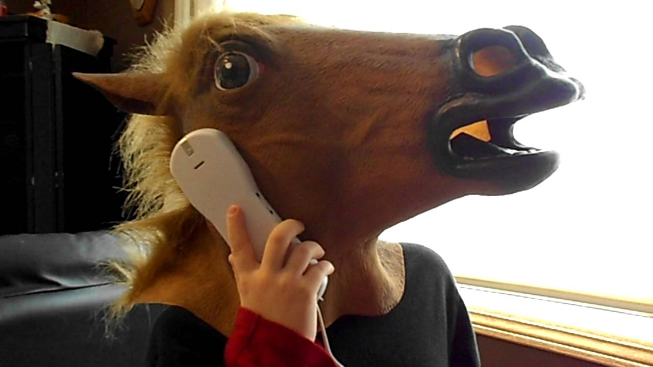 Quincy The Horse Boy Scout Making A Phone Call - YouTube