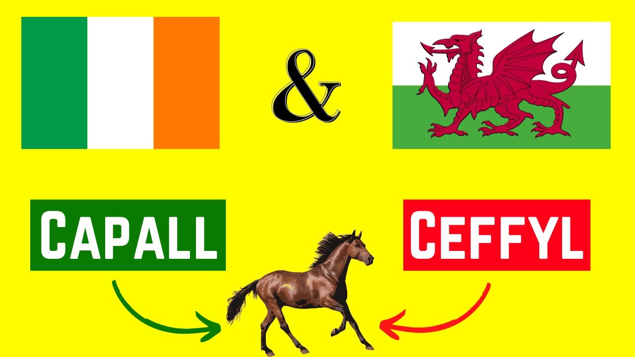 20 Words In Irish & Welsh - YouTube