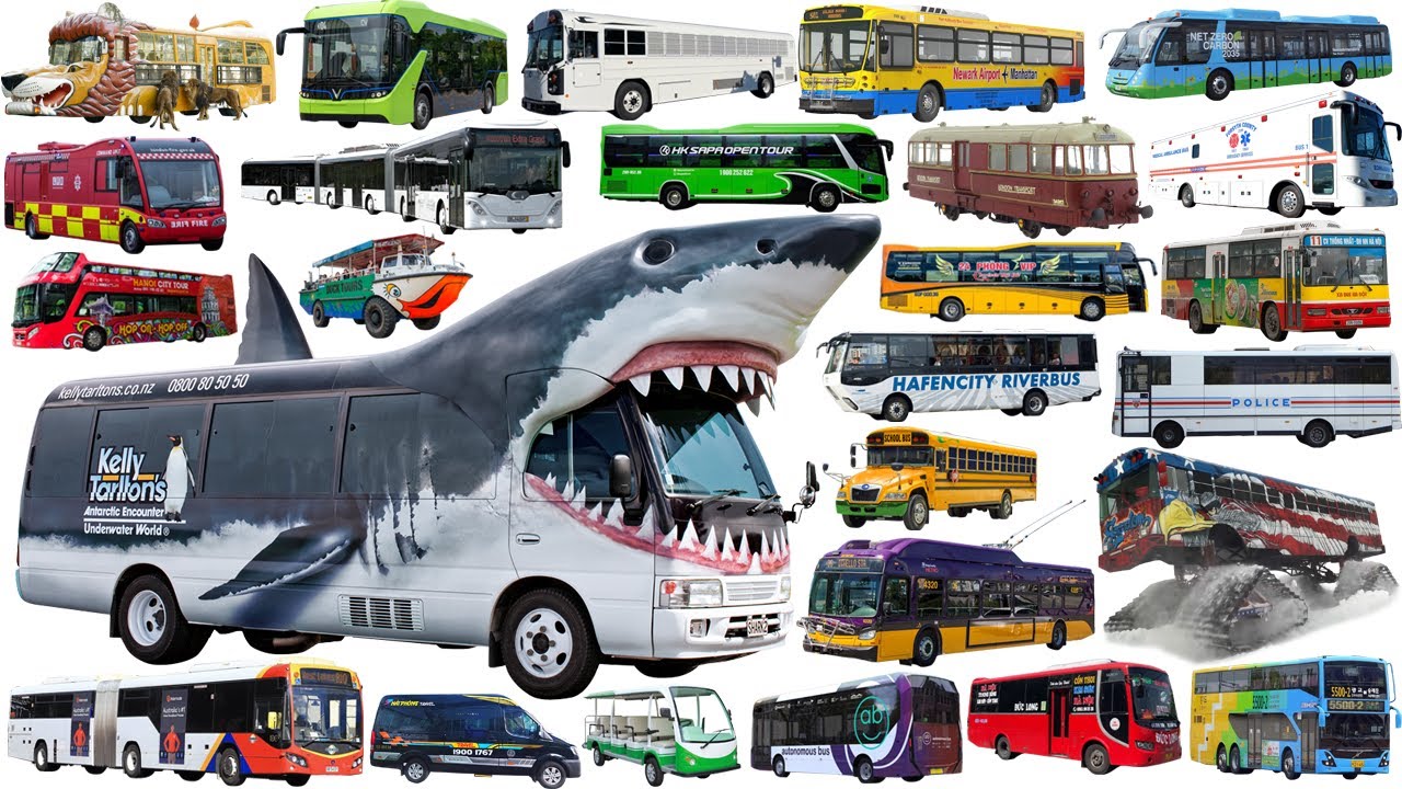 NEW SHARK BUS - BUSES Collection Name, School Bus, Police Bus, Travel ...