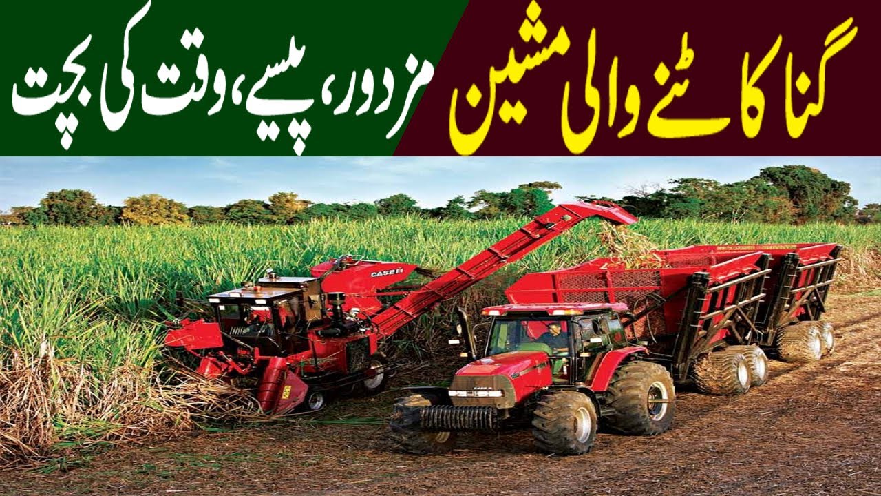 Sugarcane Harvester in Punjab Pakistan | Sugarcane Harvester Cutting ...