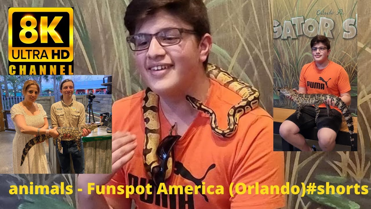 animals - Fun Spot America#shorts - YouTube