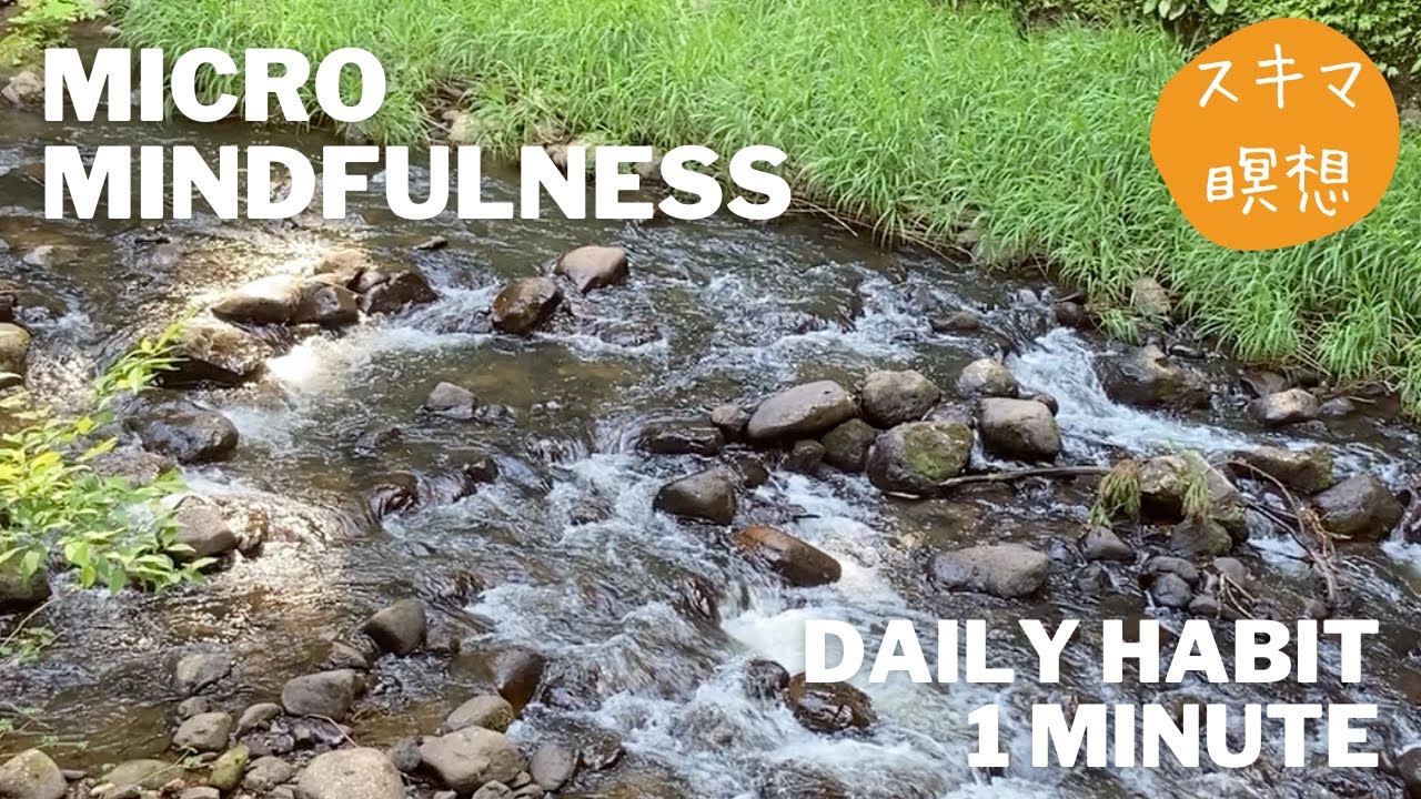 Micro Mediation |1 Minute |Breathing Practice |Mindfulness| anytime ...