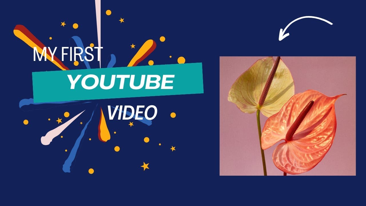 My First ------YouTube Video----- Ever. - YouTube