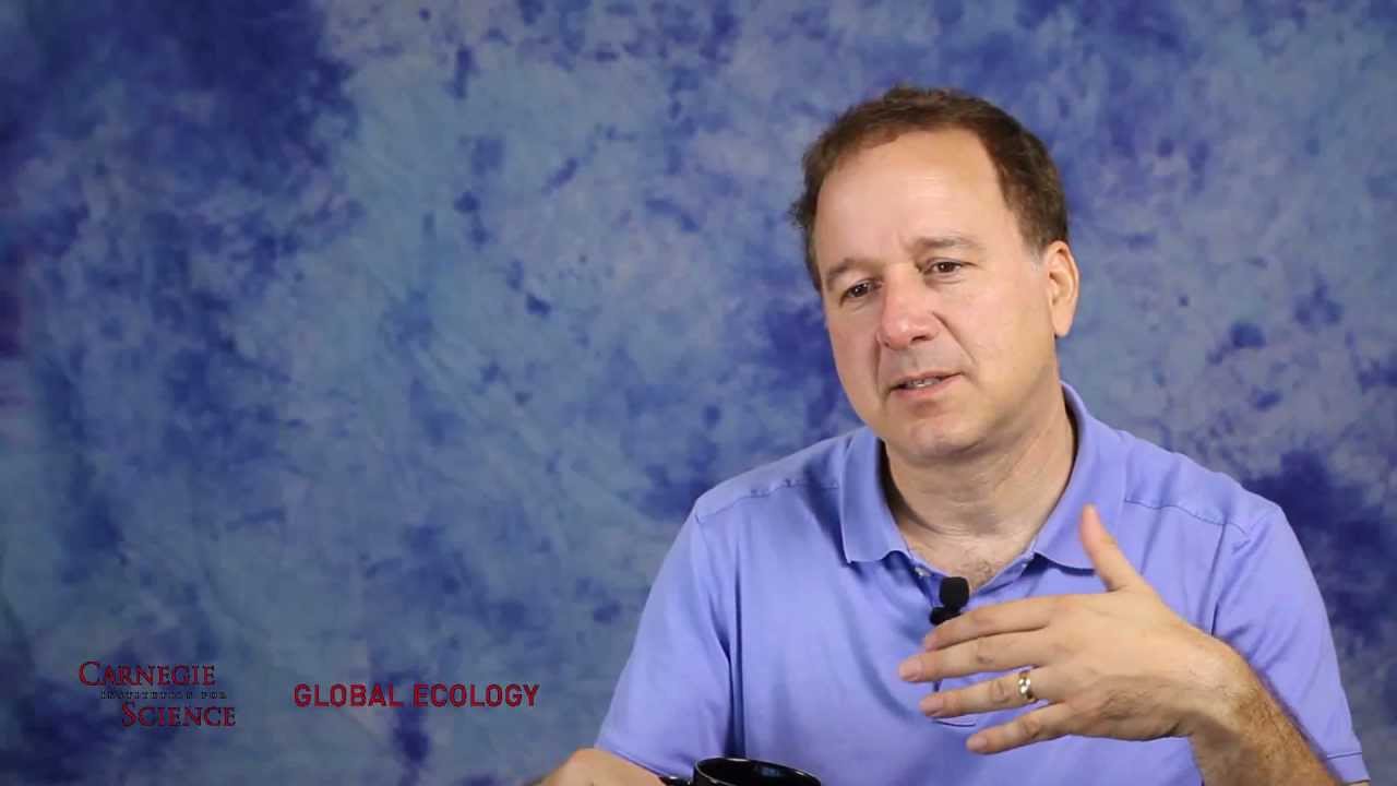 The international supply chain of carbon dioxide emissions: Ken ...