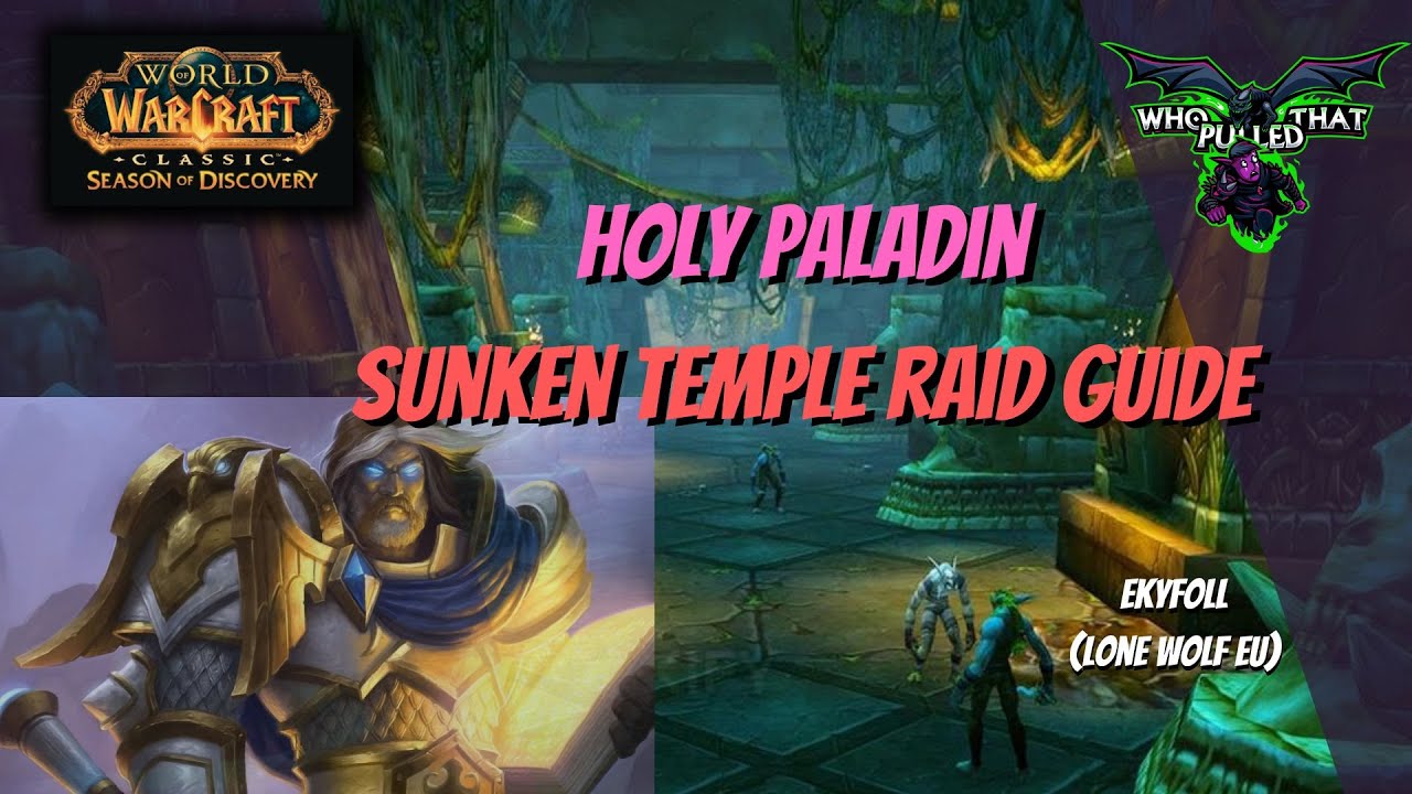 Holy Paladin Sunken Temple Raid Guide - YouTube