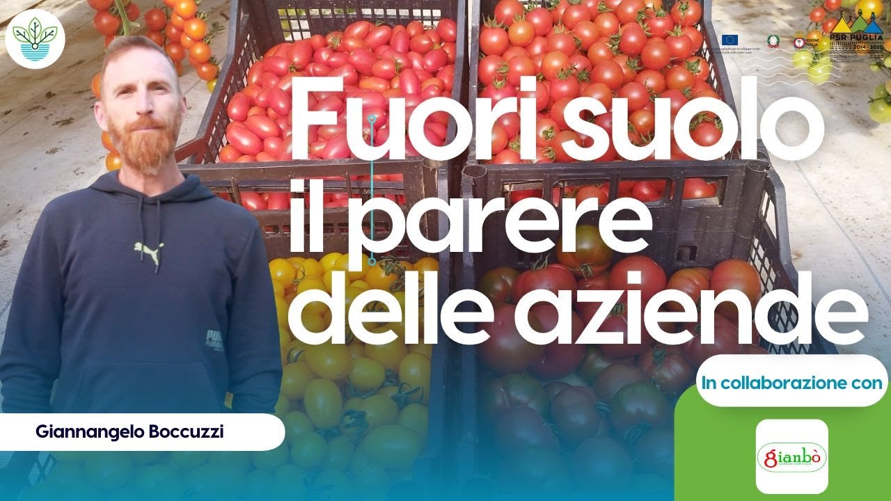 #FuoriSuolo L'esperienza dell'Azienda Boccuzzi - intervista a ...
