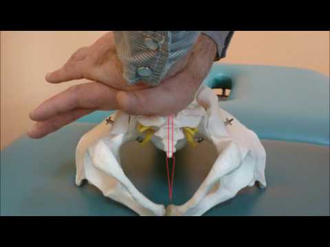 Sacral Spring test - YouTube