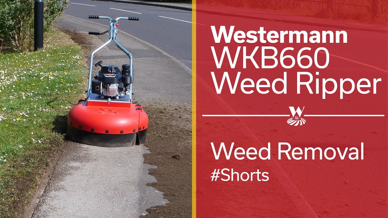 Weed Removal - Westermann WKB660 Weed Ripper - YouTube