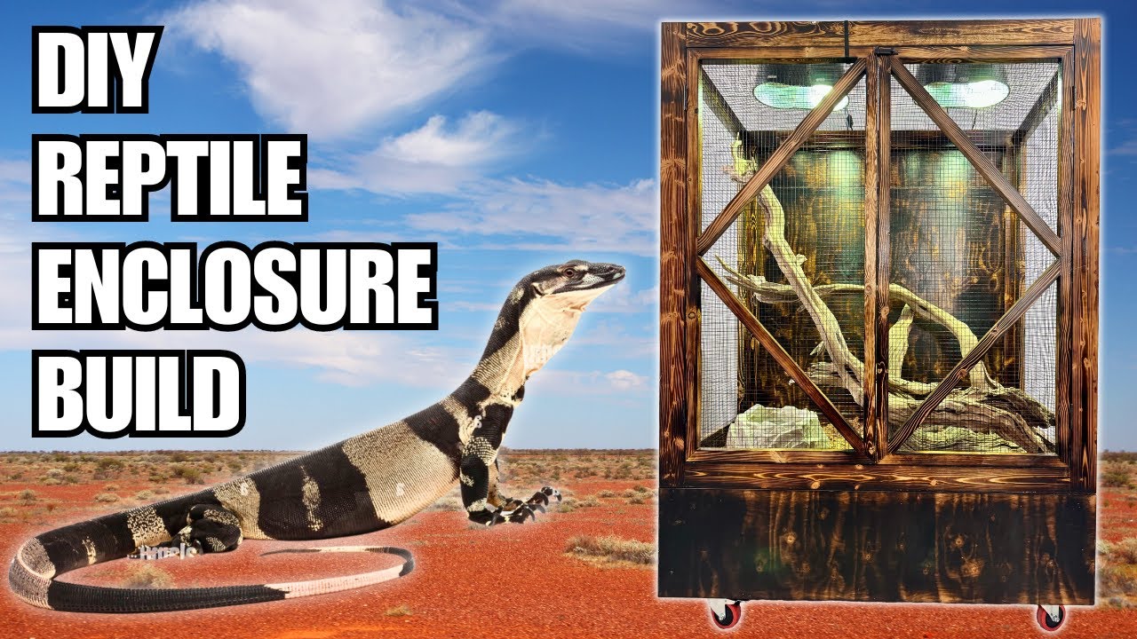 DIY Lizard Mansion: Cheaper & Better Than Store-Bought! - YouTube