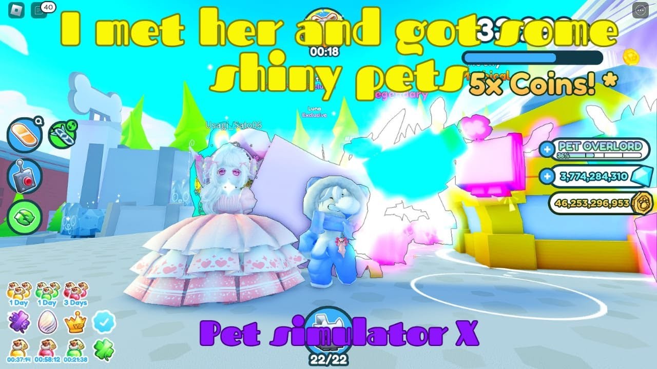 I got some myhtical and legendary shiny pets and met a gorgeous player ...