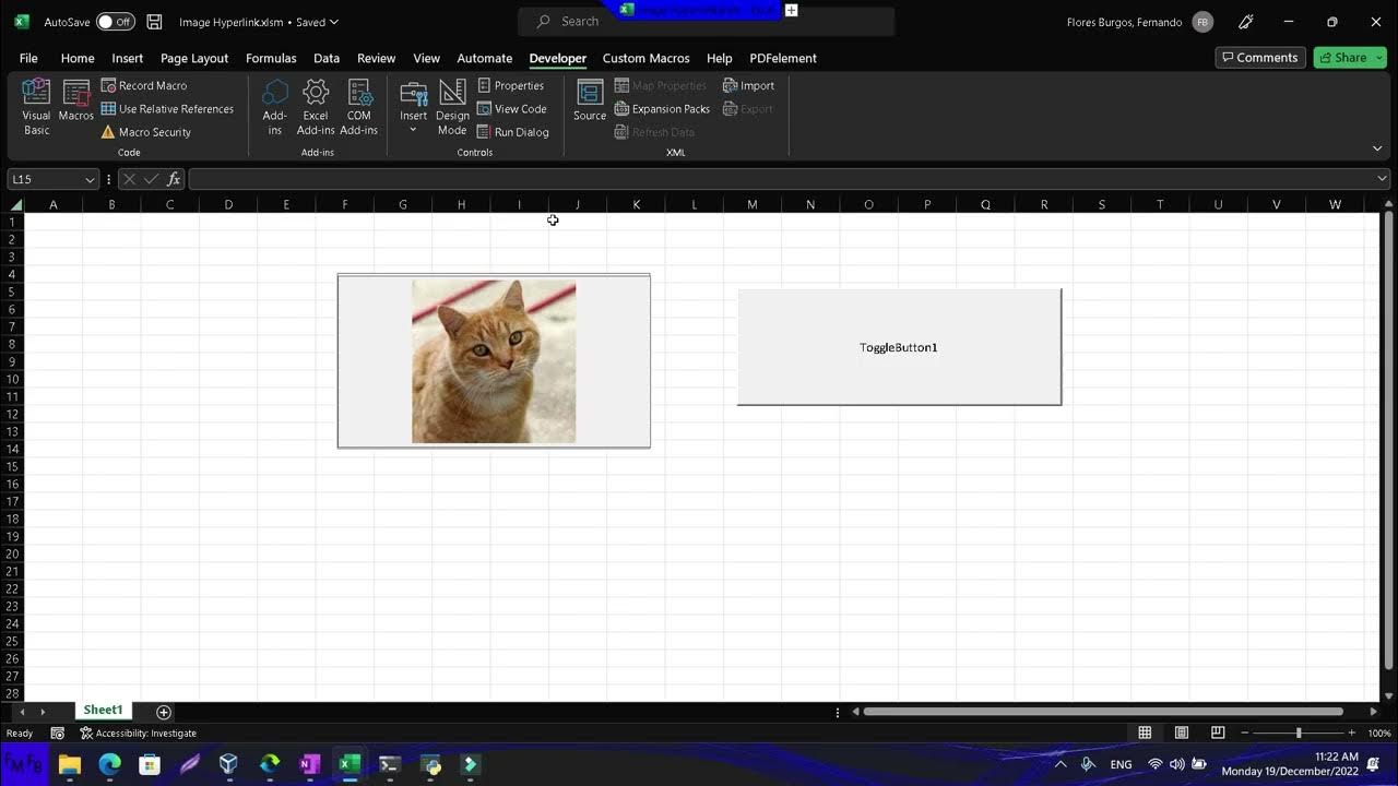 Create a hyperlink in an image container in excel, using VBA - YouTube