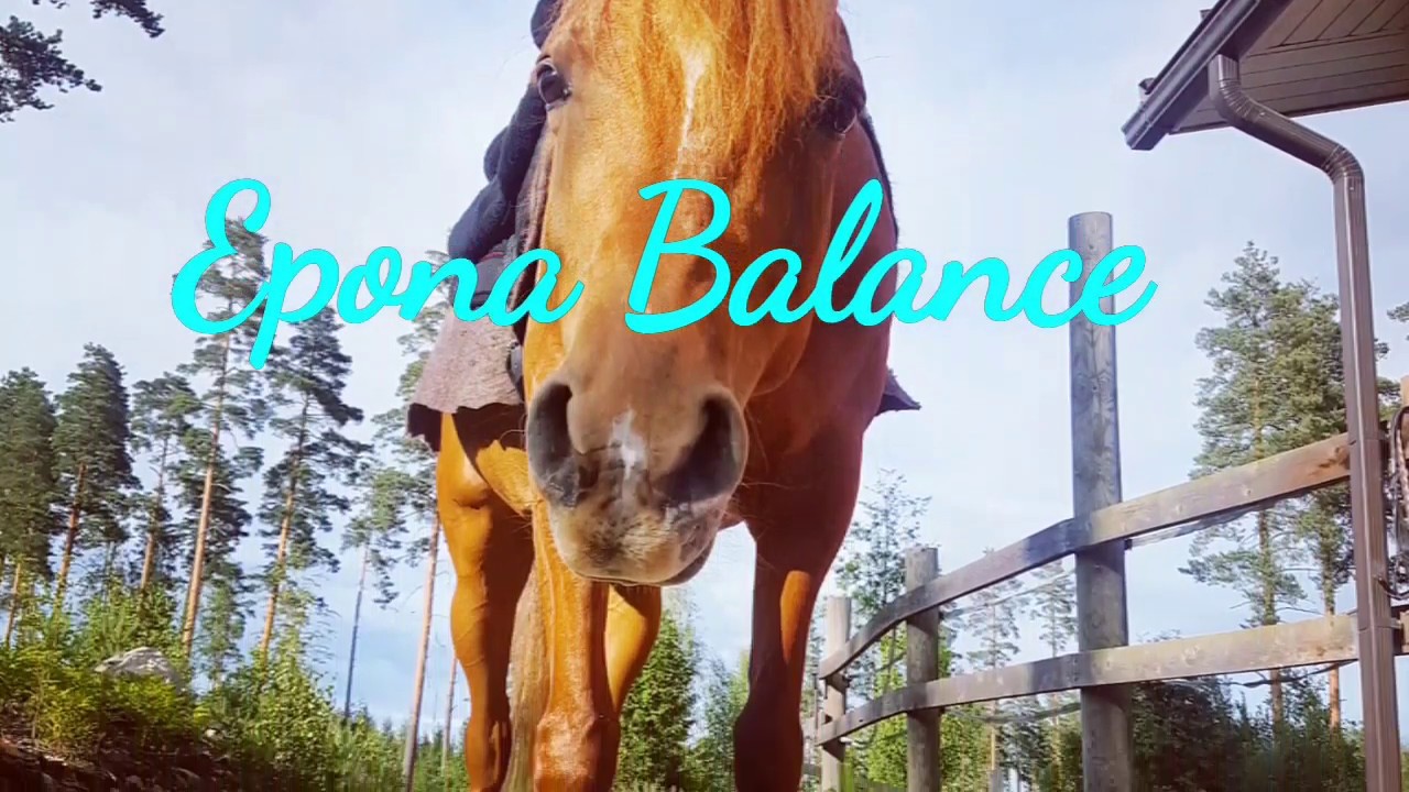 Hevosen kavion toiminta, joustava kavio. - YouTube