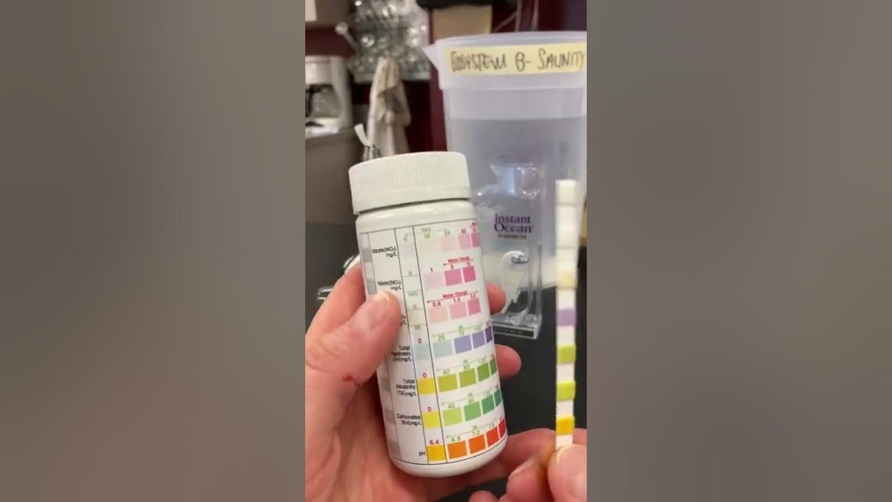 Pond Water Lab - Ecosystem B - YouTube