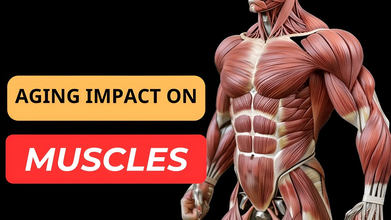 What Happens To Your Muscles After 40. - YouTube