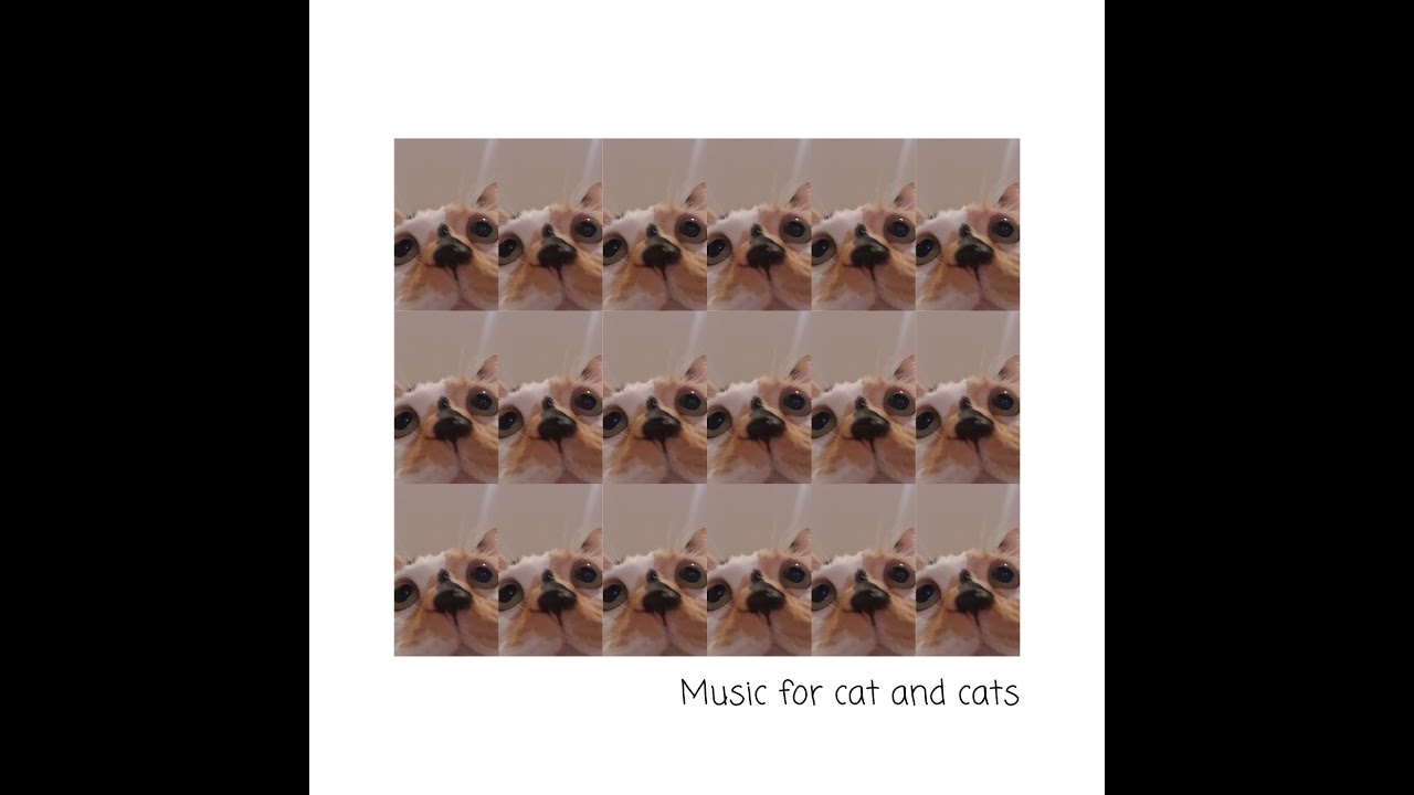 NAMO? - Good Night, Sleep Tight, Don't Let the Cat Bite - YouTube