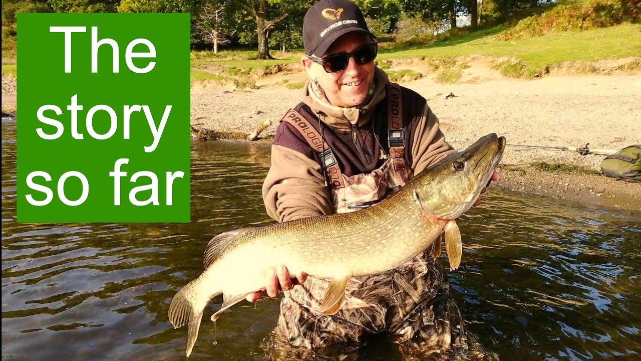 Lured by Esox - our journey of 2022 (pike fishing, carp and catfishing ...
