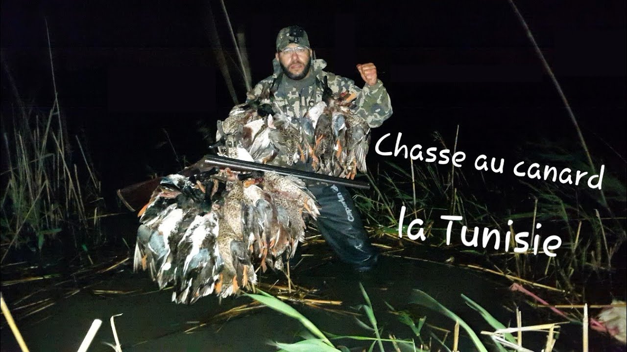 Magnifique vidéo de chasse au canard avec camping. - YouTube