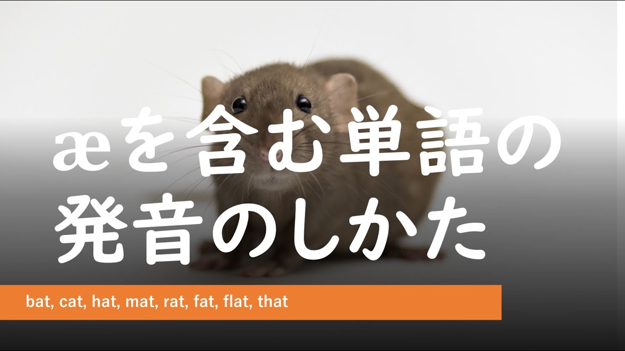 Phonics フォニックス "æ"の発音bat, cat, hat, mat, rat, fat, flat, that #phonics ...