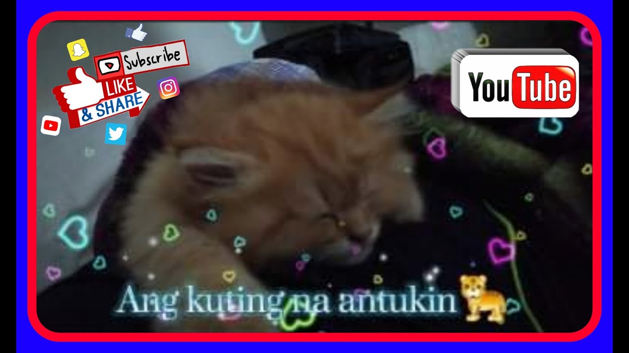 Ang Kuting na Antukin by Rene Villasante Vlog - YouTube