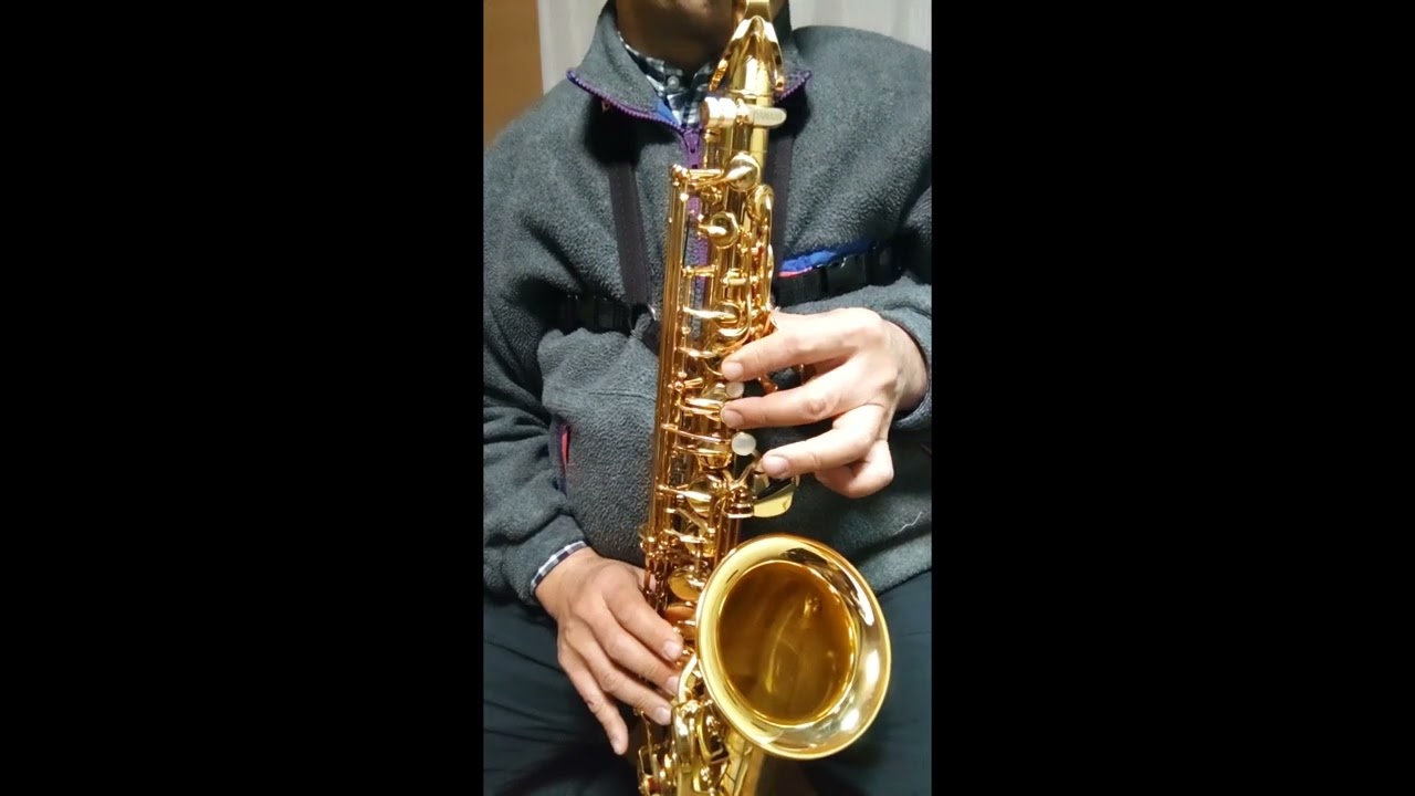 ON THE SUNNY SIDE OF THE STREET alto sax アルトサックス - YouTube