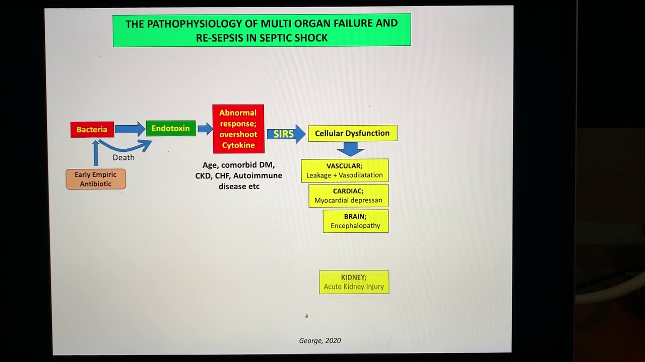 Pathophysiology of organ failure in sepsis - YouTube