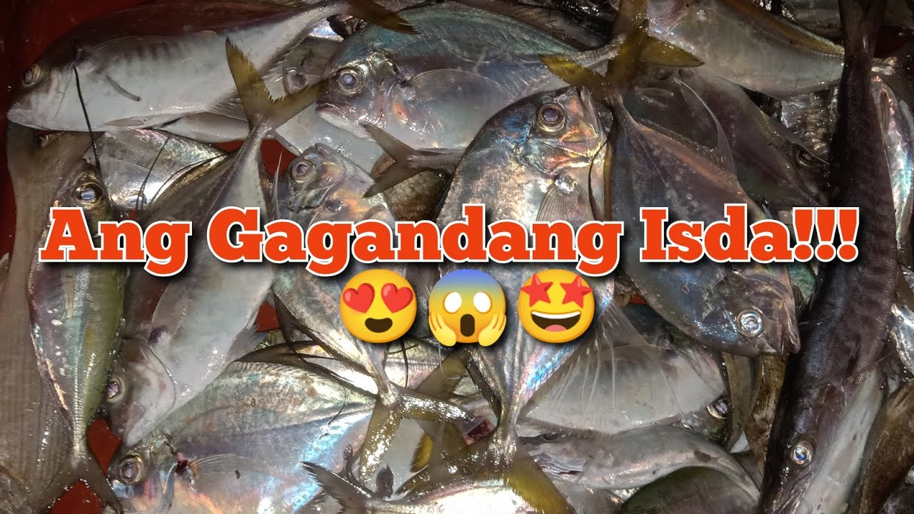 Nag Sapyaw si Kalukad !!! Magagandang isda ang aming nahuli😲 - YouTube